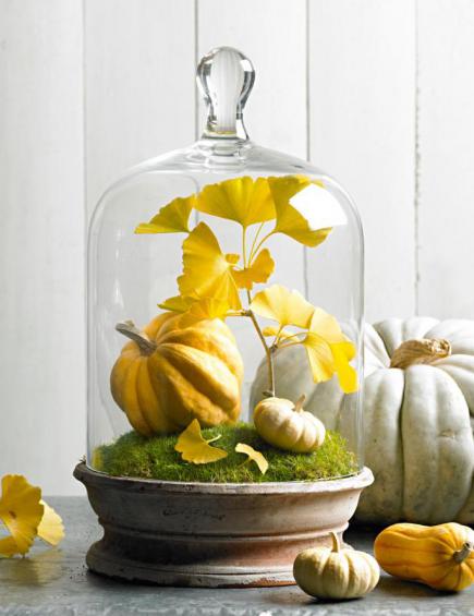 7 Fall Activities For Seniors